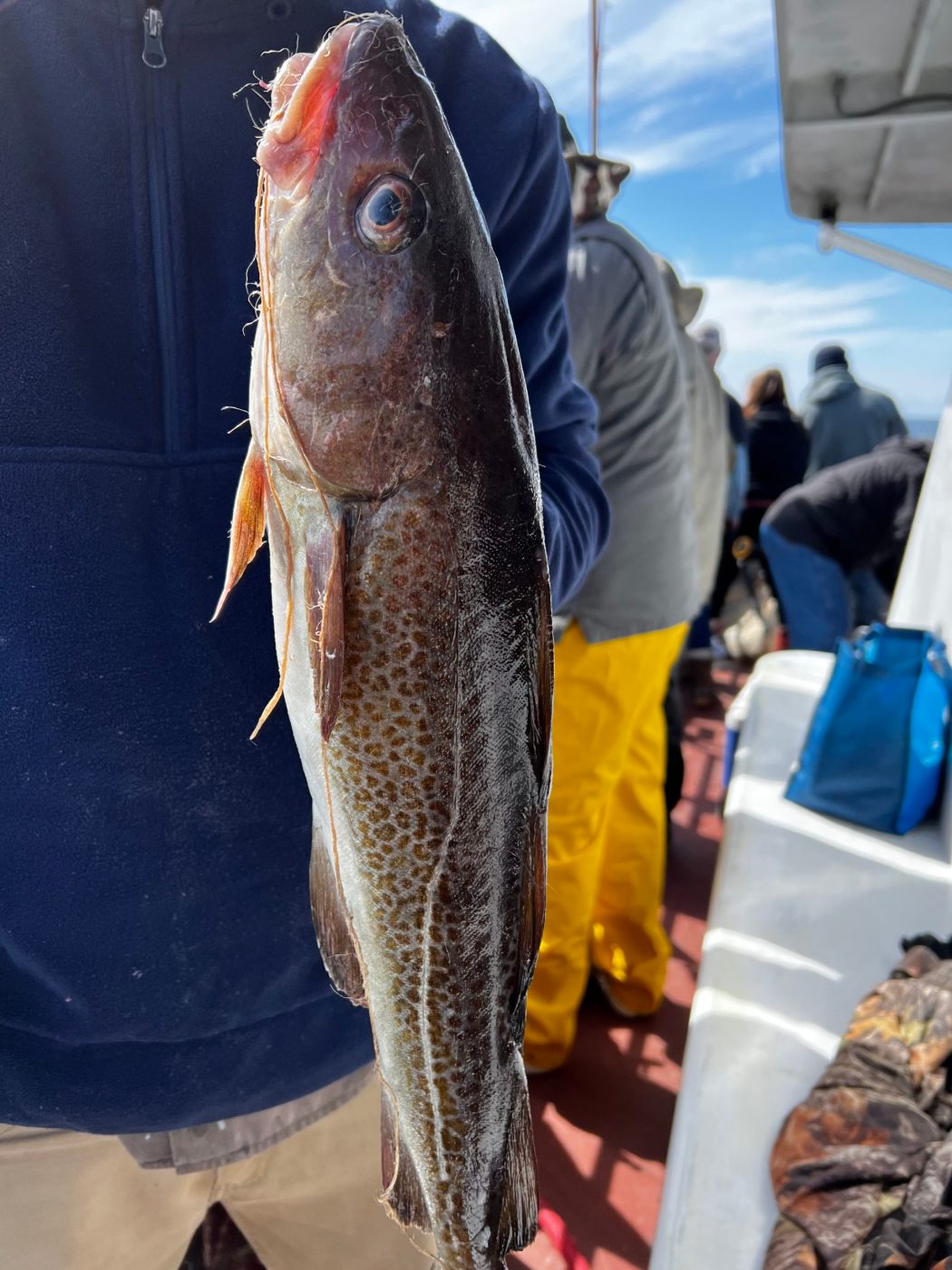 Sunday 4/3/2022 Full Day Trip | Yankee Fleet