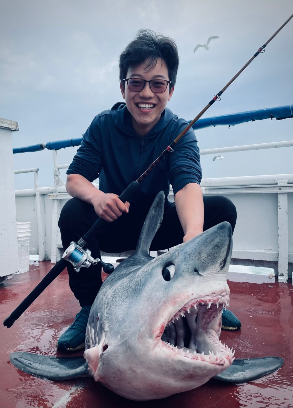 Shark!!! | Yankee Fleet